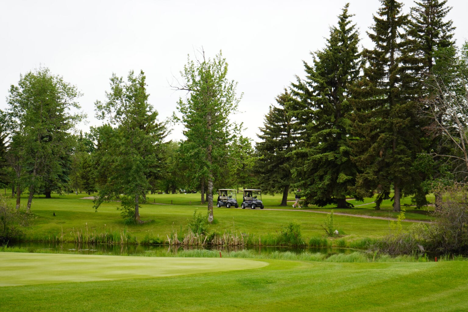 Chamber Golf Tournaments - Leduc, Nisku and Wetaskiwin Regional Chamber ...
